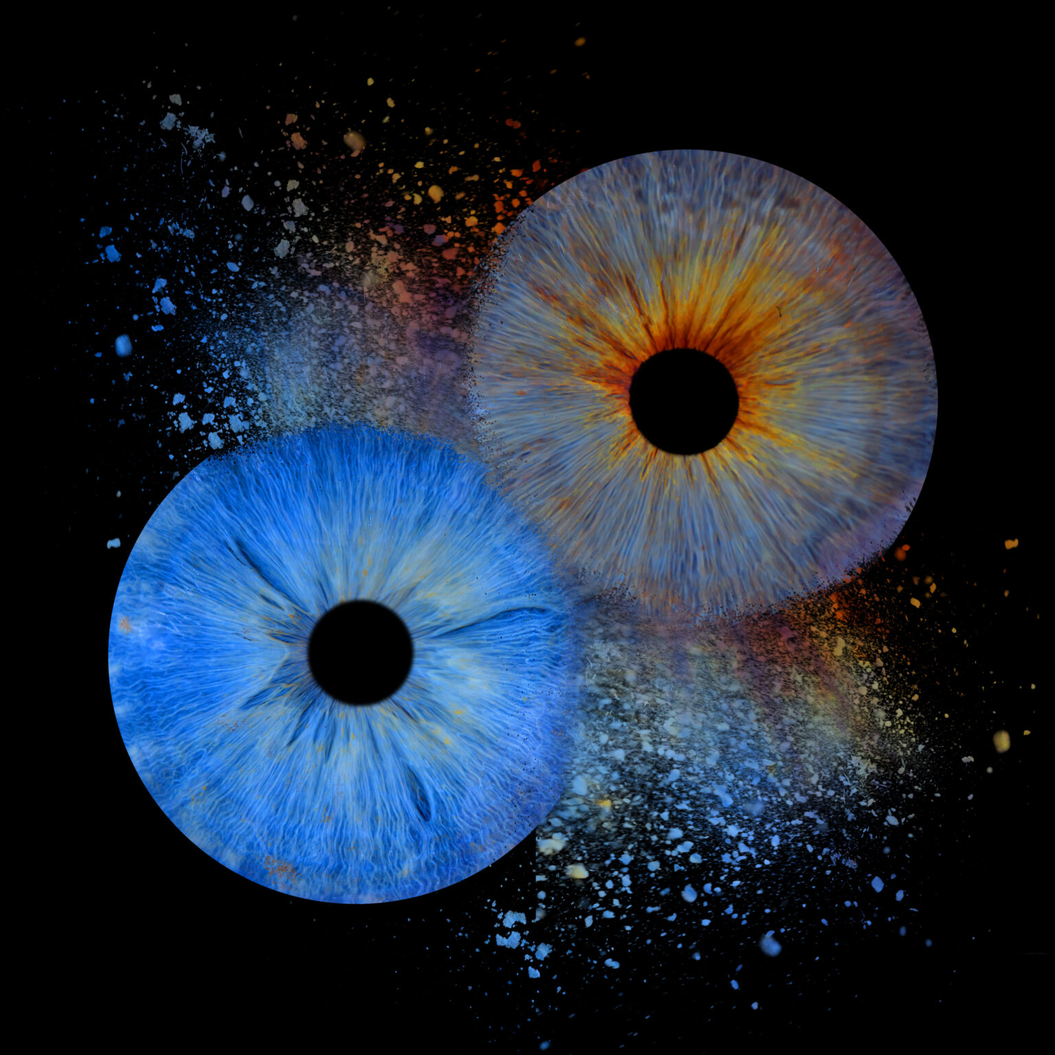 MYRIS – Votre IRIS devient un chef d'oeuvre